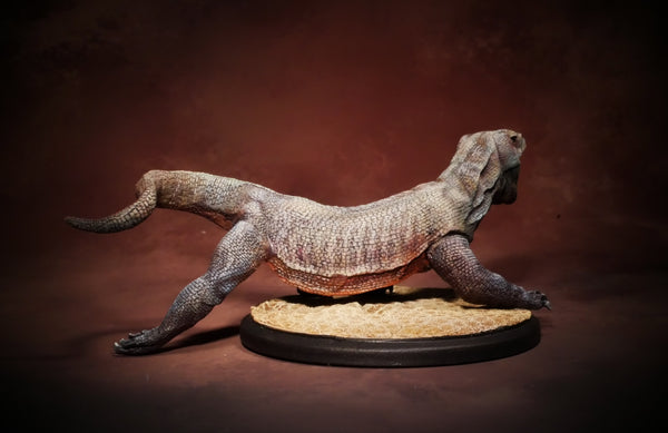 Ladon (with riding Cato) – Arena Rex Store