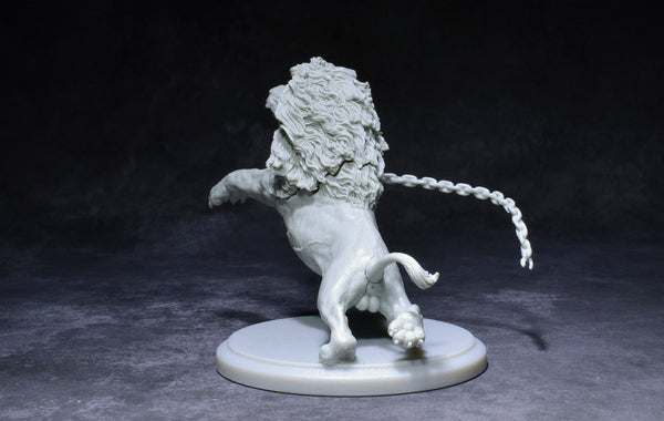 Leo – Arena Rex Store