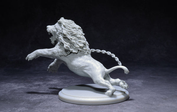 Leo – Arena Rex Store