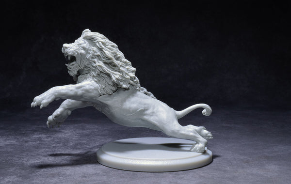 Leo – Arena Rex Store