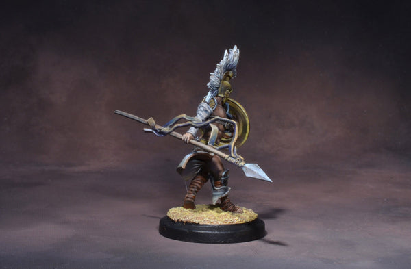 Septimus – Arena Rex Store